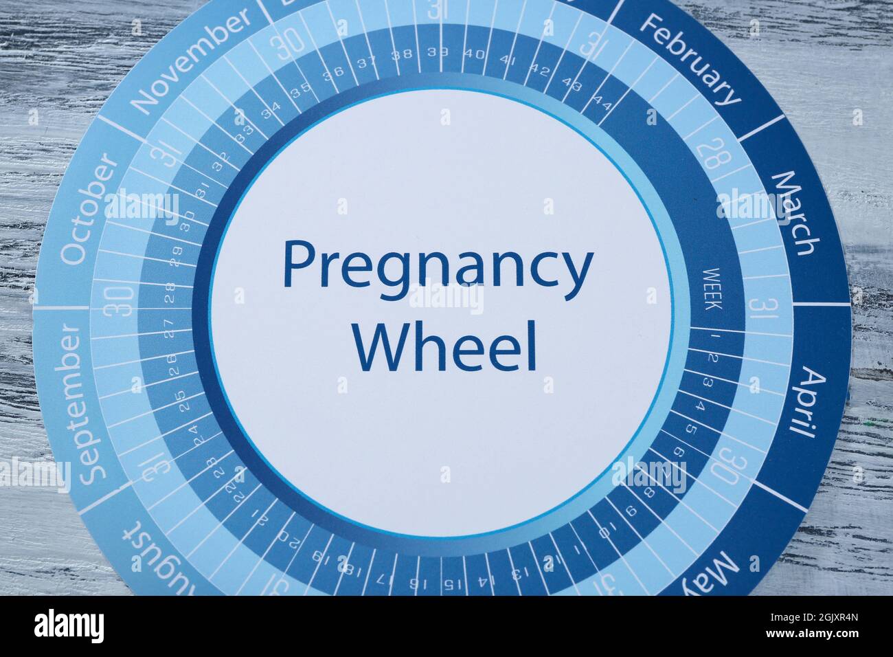 Pregnancy Wheel High Resolution Stock Photography and Images - Alamy