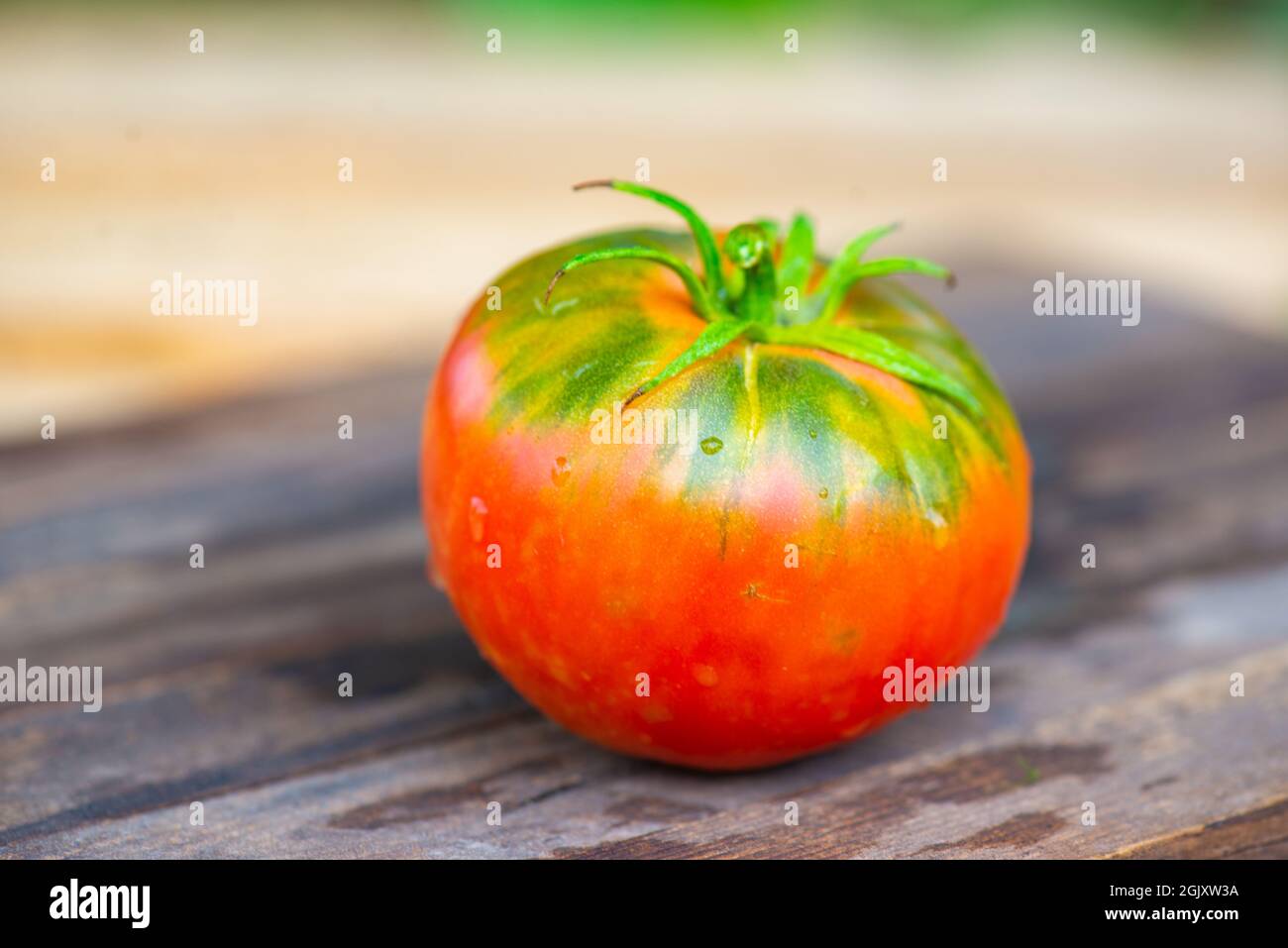 One large tomato hi-res stock photography and images - Alamy