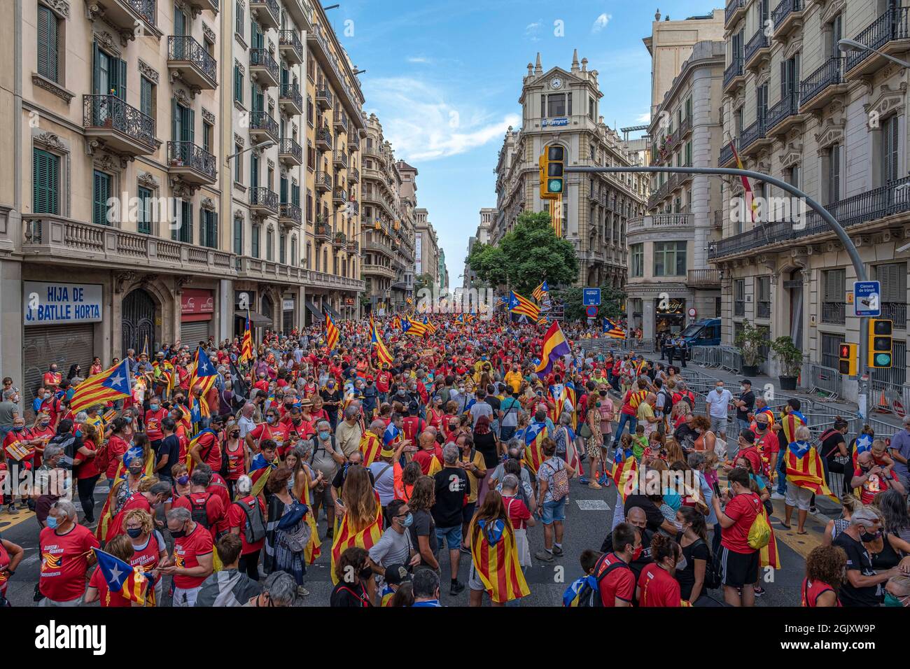 A large crowd of protesters wave flags as they march through Via ...