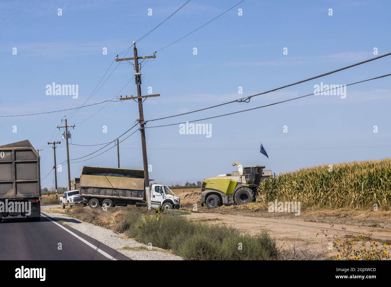 A Claas Jaguar corn forage harvester in Merced County California USA ...