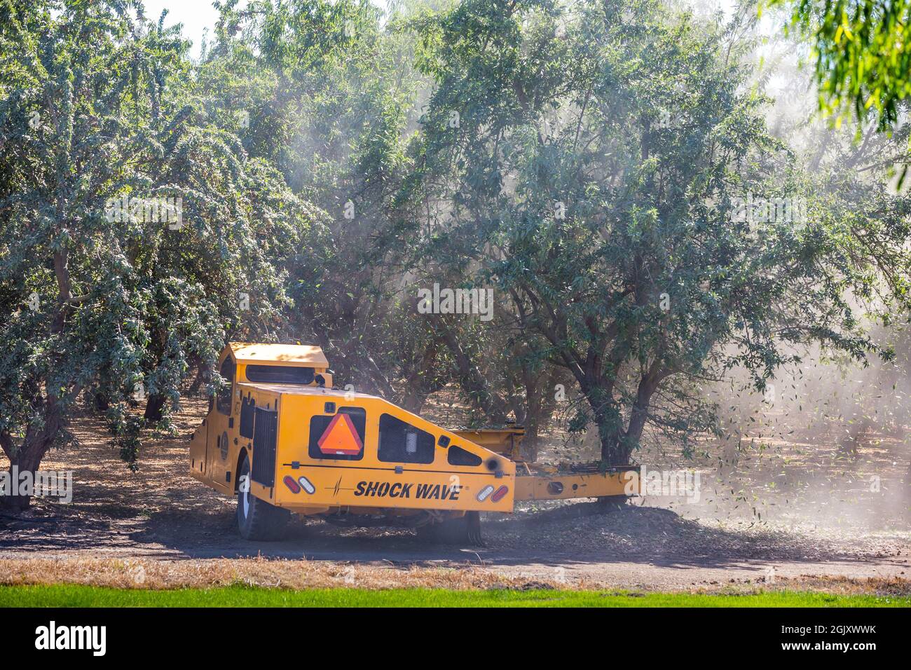 An Almond harvesting machine that shakes the almonds off of the tree ...