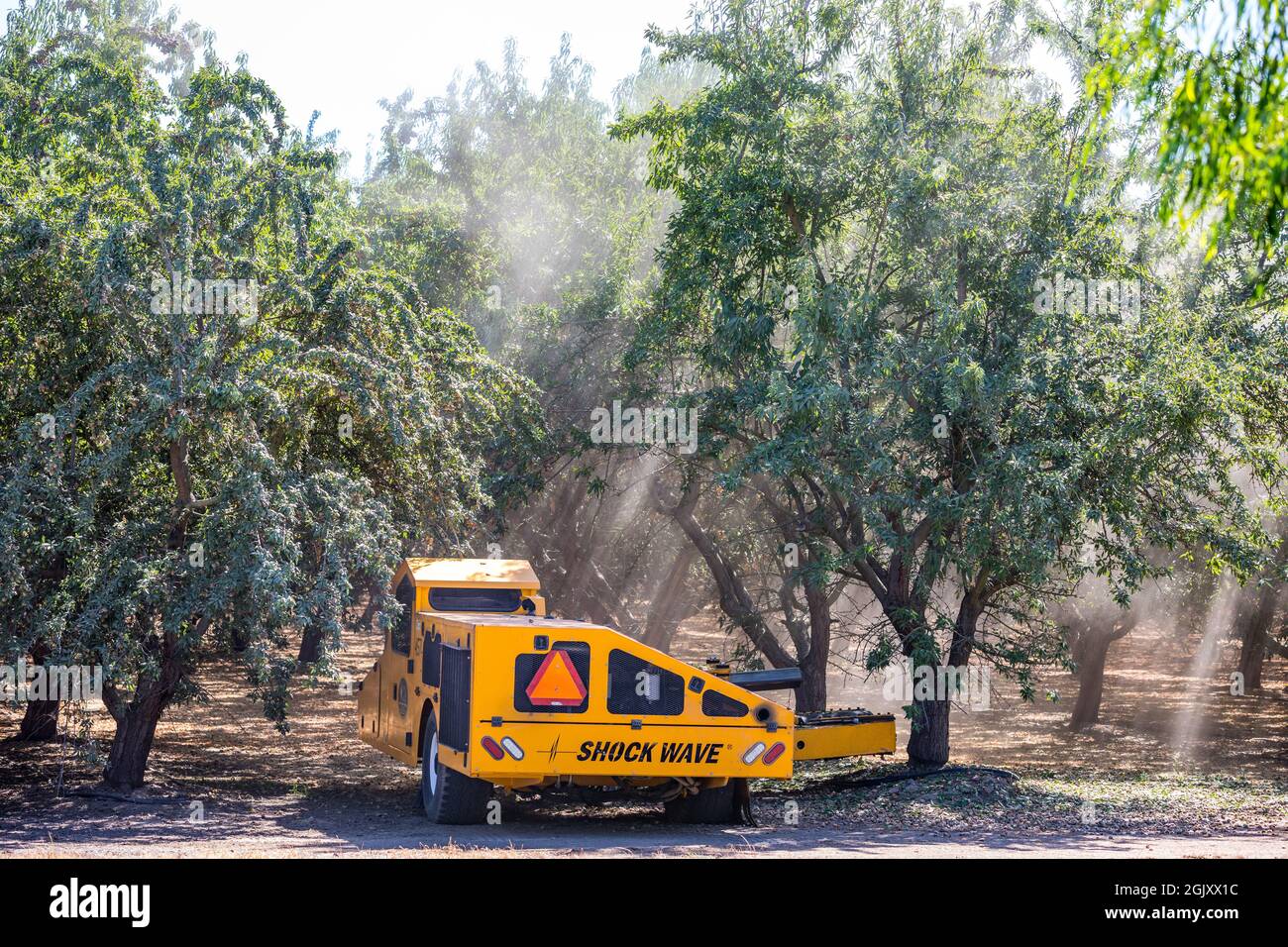 An Almond harvesting machine that shakes the almonds off of the tree ...