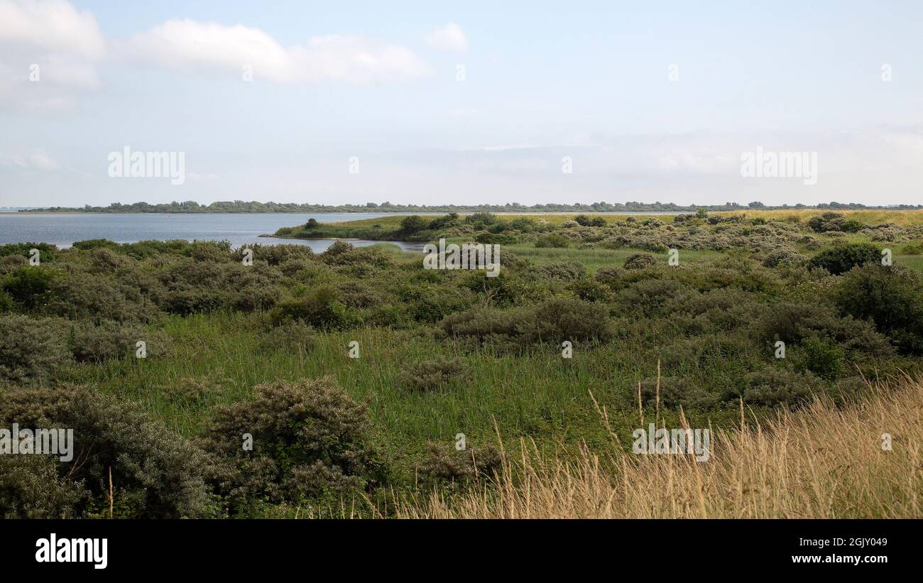 Nature reserve Preekhilpolder along Lake Grevelingen, South Holland ...