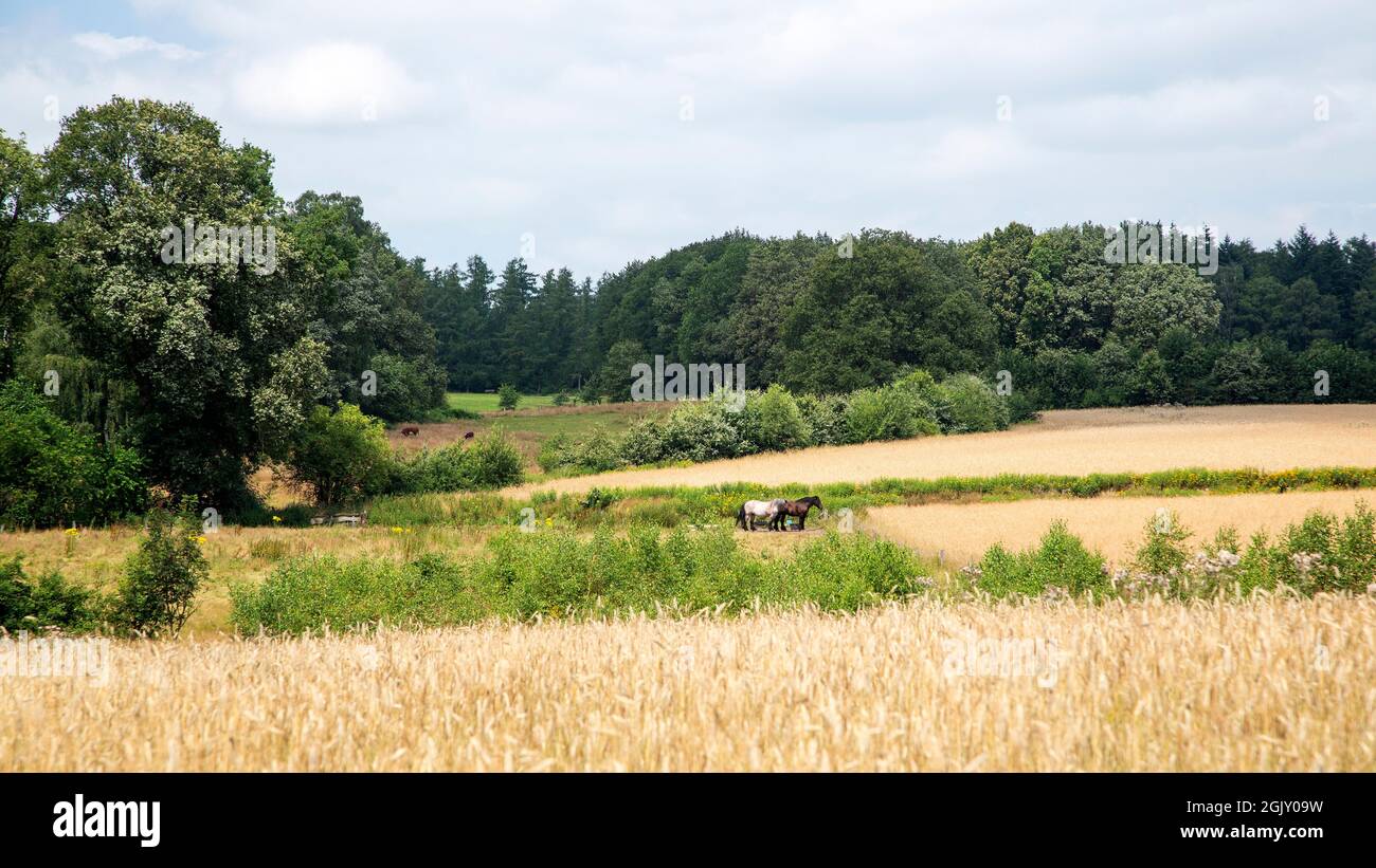 Rural and urban landscape hi-res stock photography and images - Alamy