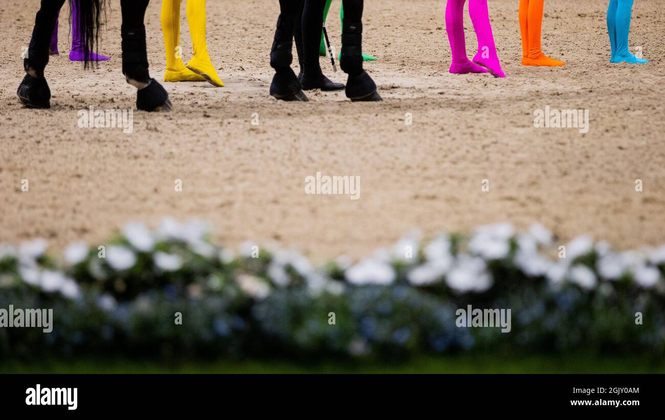Vaulting equestrian team hi-res stock photography and images - Alamy