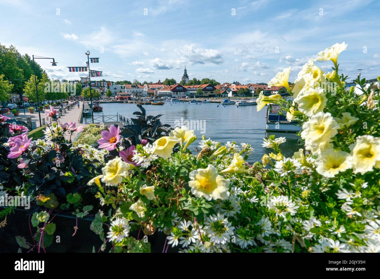 Baltic flowers hi-res stock photography and images - Alamy