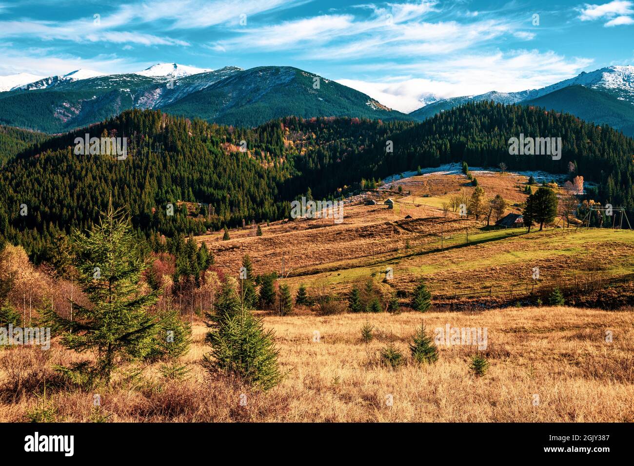 Deforestation in the mountains of Carpathian, view on a beautiful ...