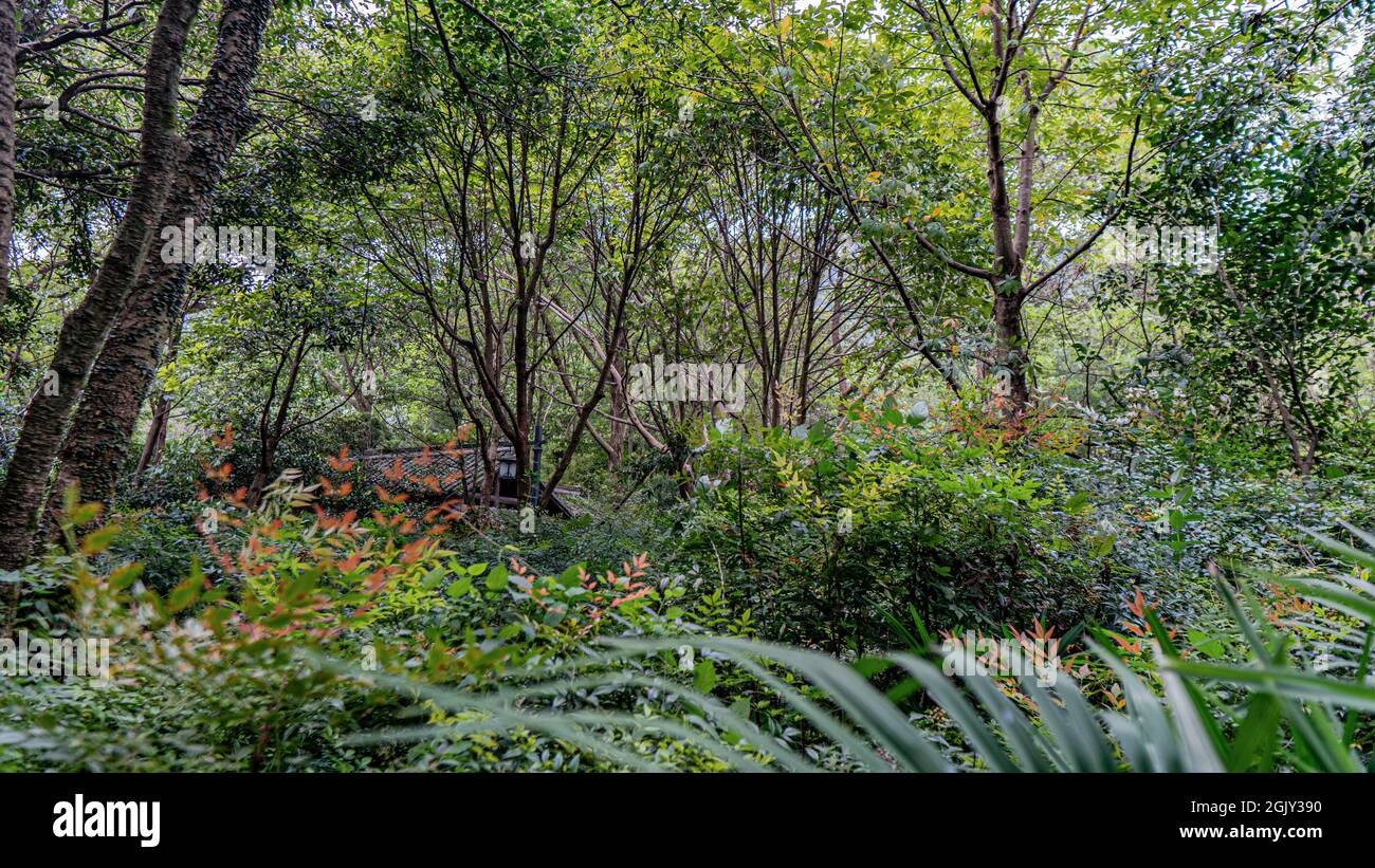 Chinese traditional house Stock Photo - Alamy