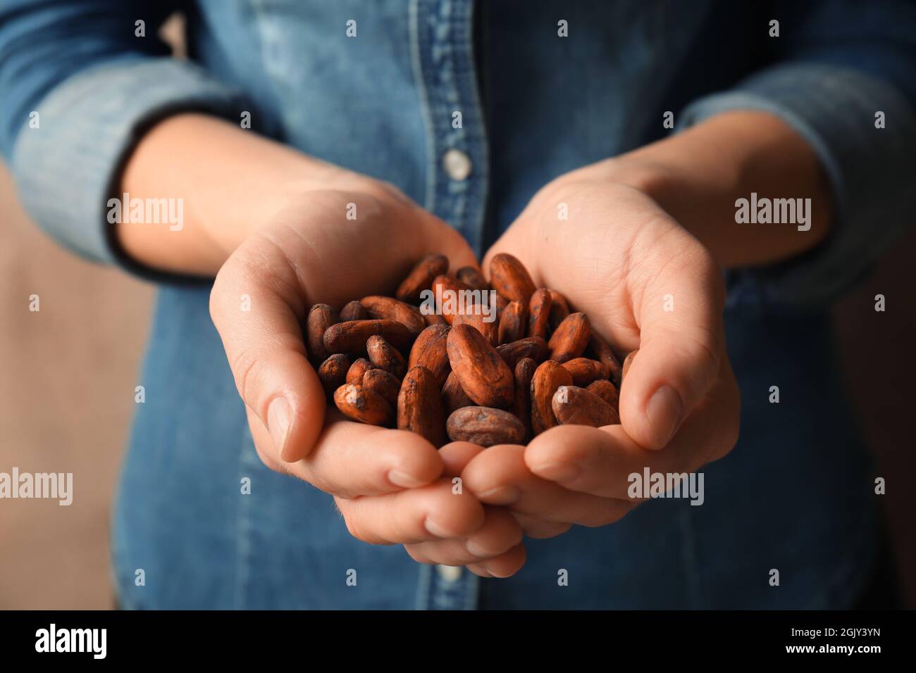 Female hands holding aromatic cocoa beans, closeup Stock Photo - Alamy