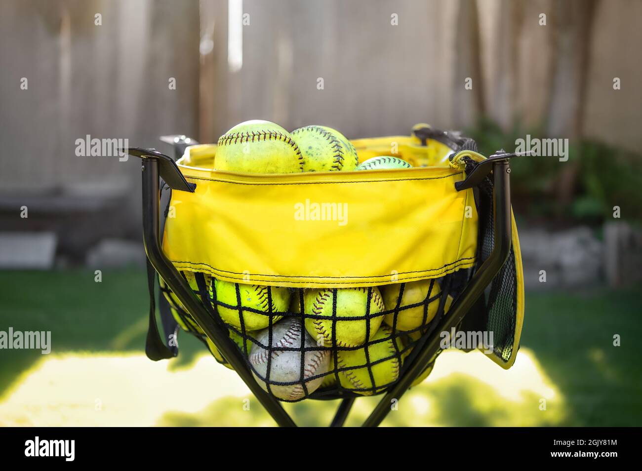 Ball caddy with softballs in backyard or park, setup for training ...