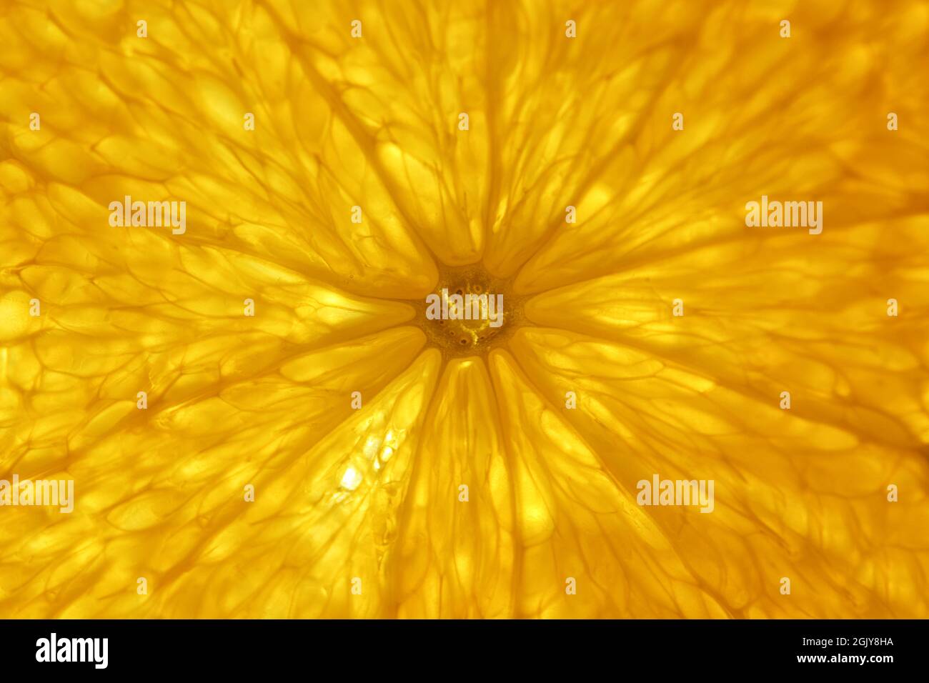 Slice of citrus fruit, closeup Stock Photo - Alamy