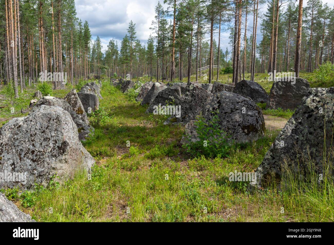 Big stones in the forest used as World War II anti-tank obstacles ...