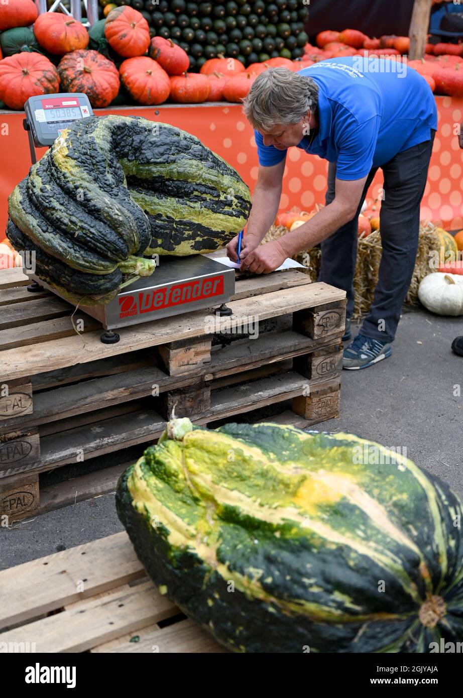 Heaviest cabbage hi-res stock photography and images - Alamy