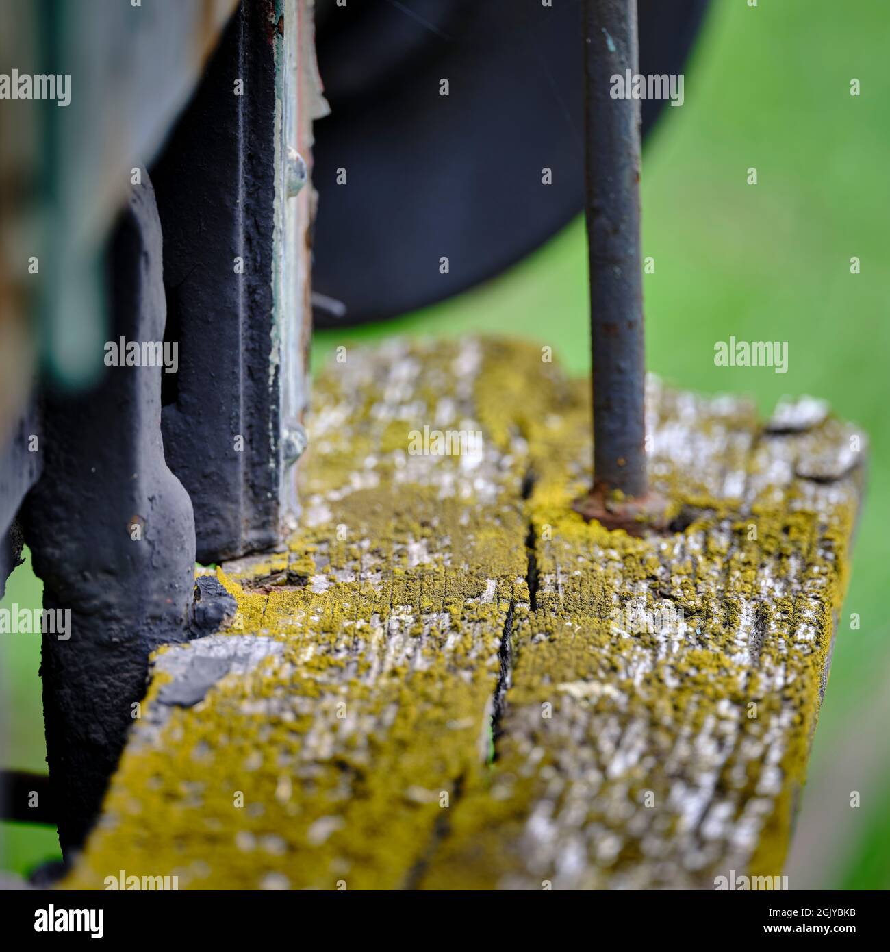 Wooden step of an old train car overgrown with moss Stock Photo - Alamy