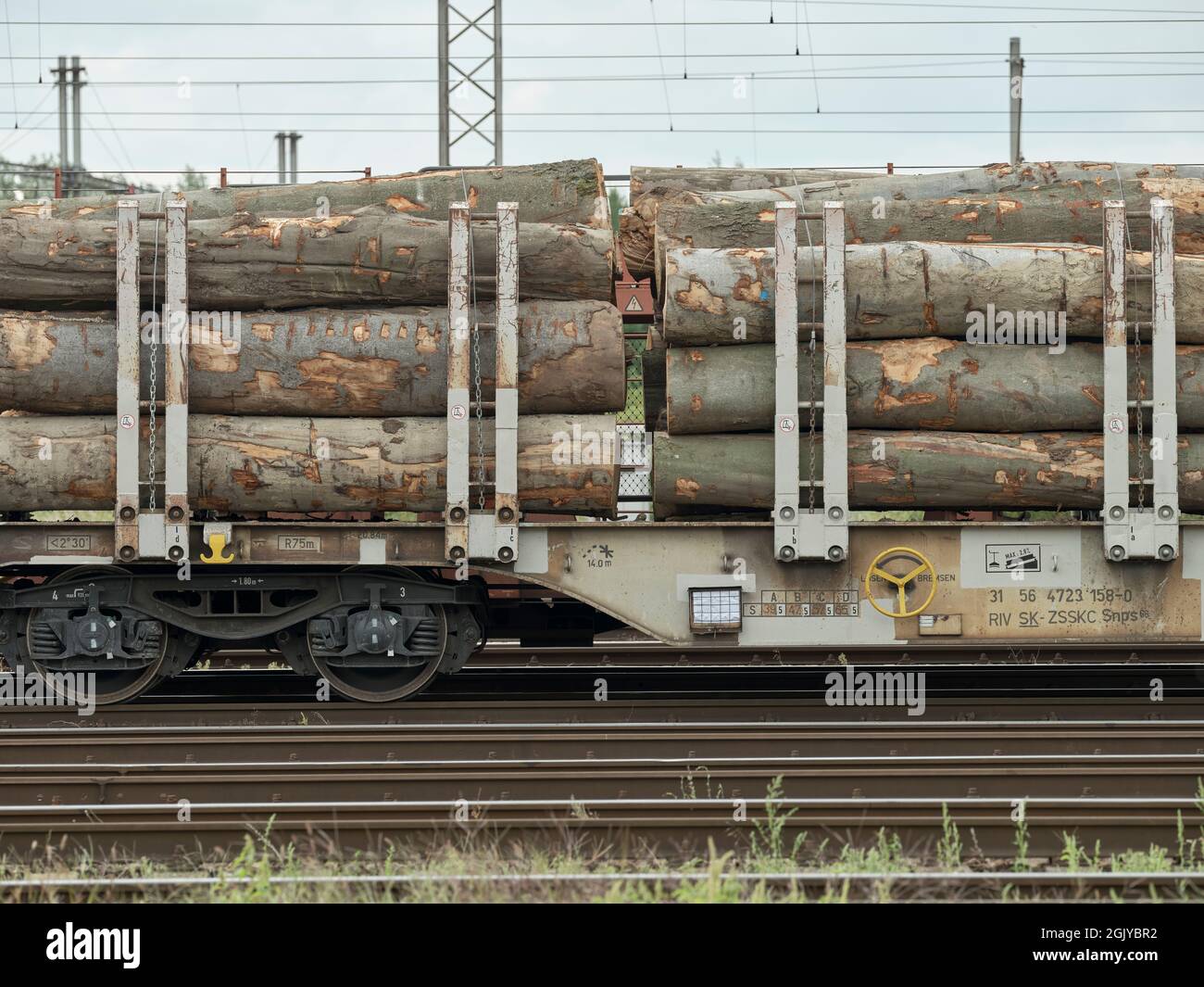 A train car full of felled trees Stock Photo - Alamy