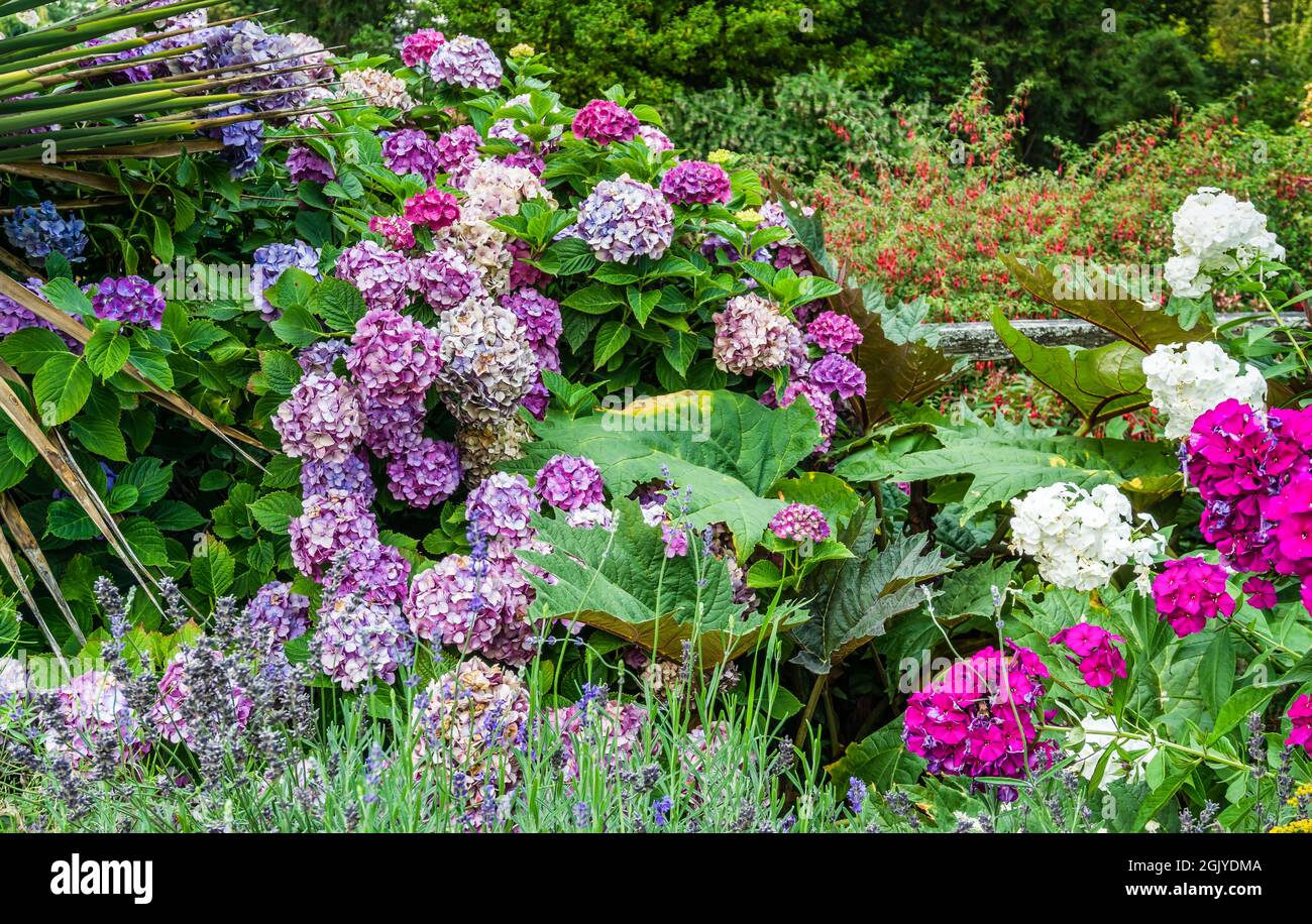 A colorful mix of flowers in a garden at Point Defiance Park in Tacoma ...