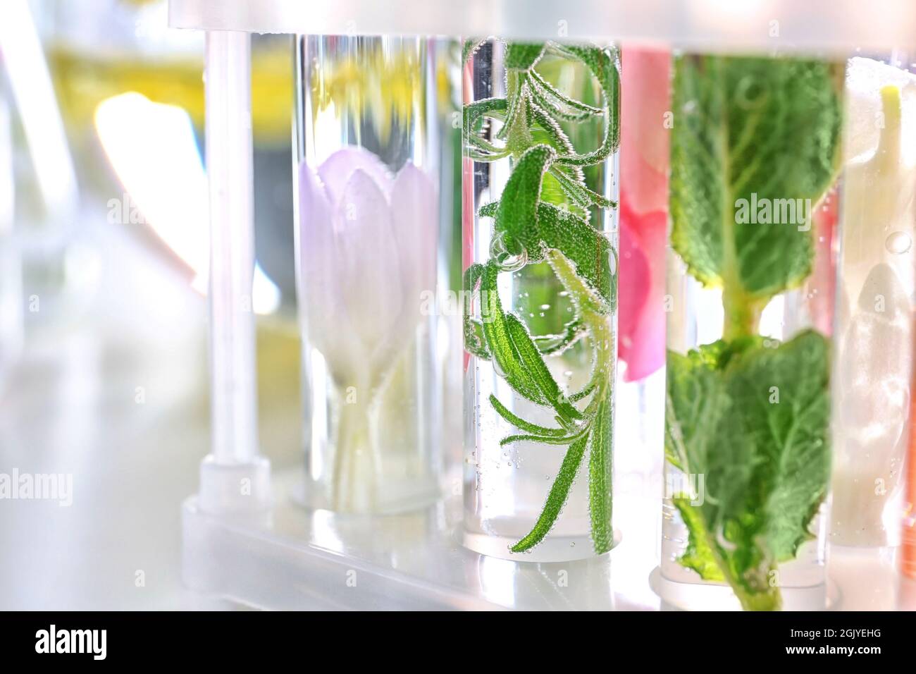Test tubes with perfume samples, closeup Stock Photo - Alamy