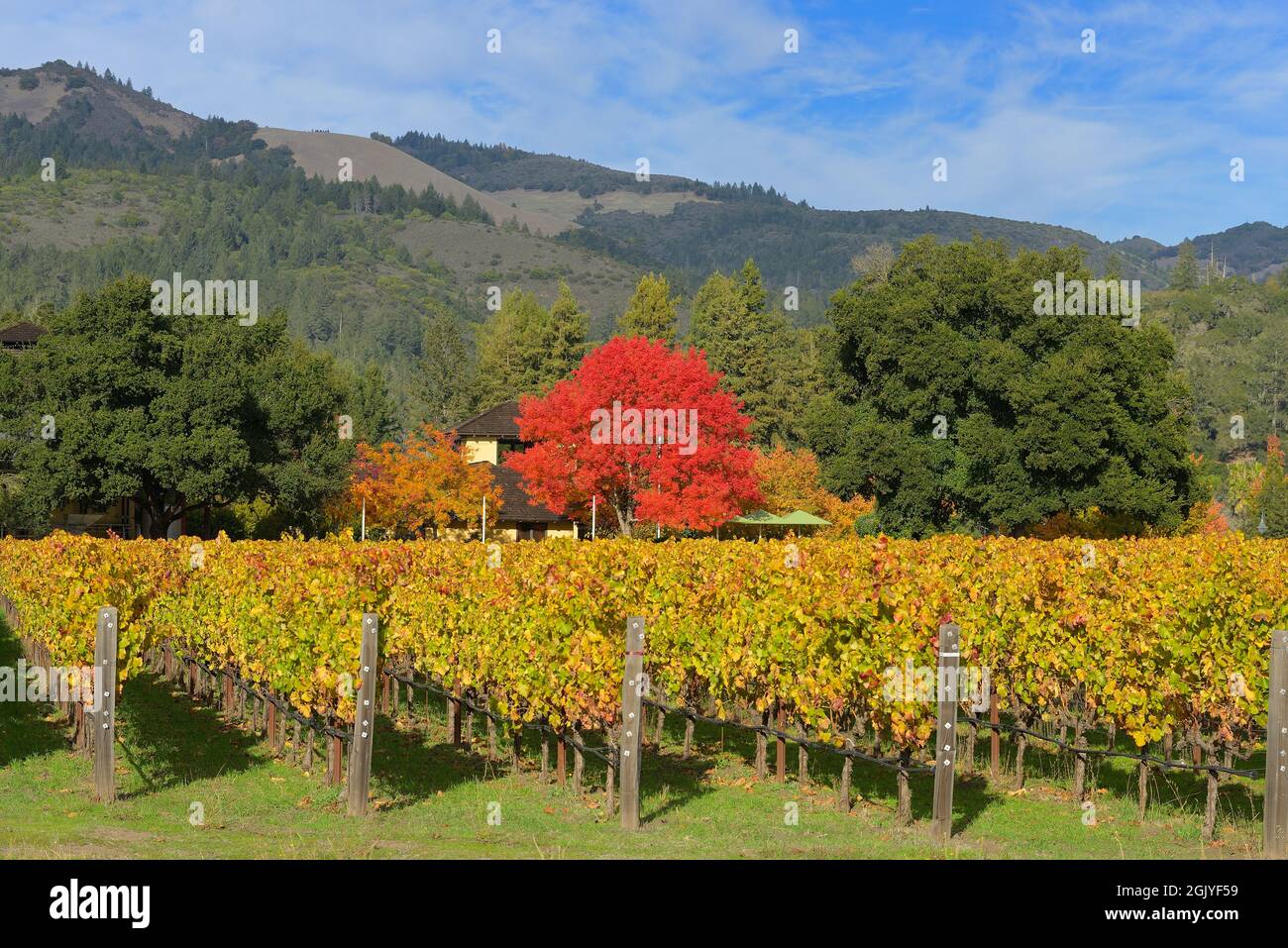 The Landmark Vineyards, Winery, Cottage & Suite - a beautiful fall ...