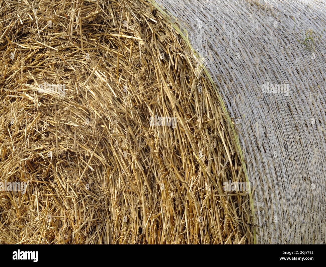 Stroh rund hi-res stock photography and images - Alamy