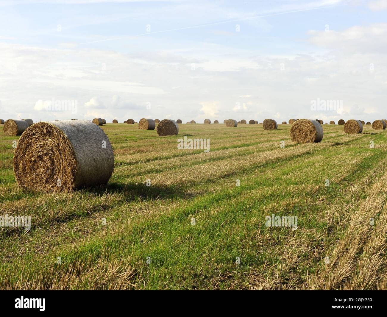 Strohballen feld hi-res stock photography and images - Alamy