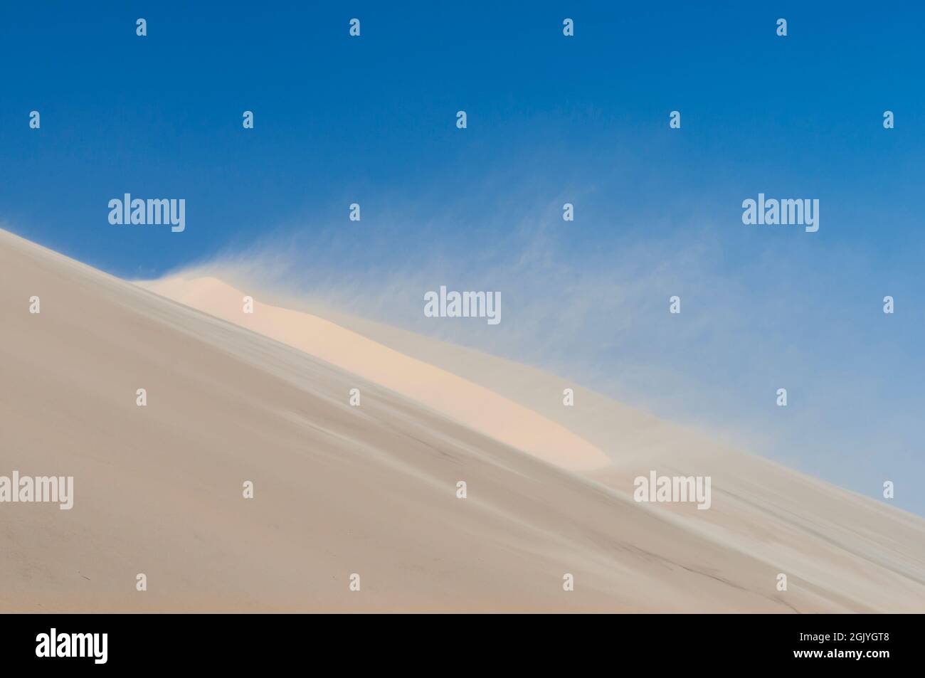 Dunes in Sandstorm at Skeleton Coast, Namib Desert, Namibia, Africa ...