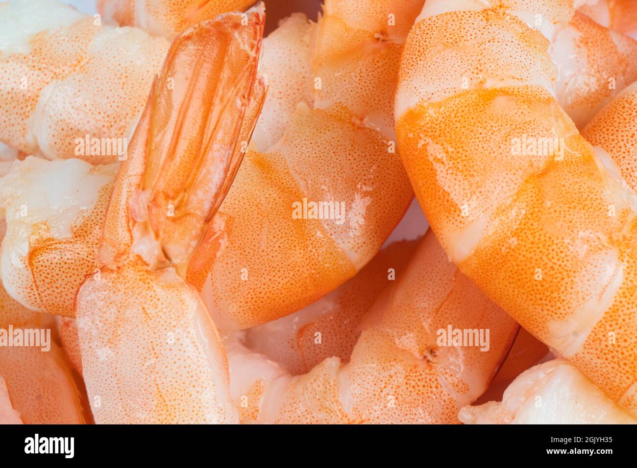 Group of red argentine shrimp texture background. Large tiger shrimp ...