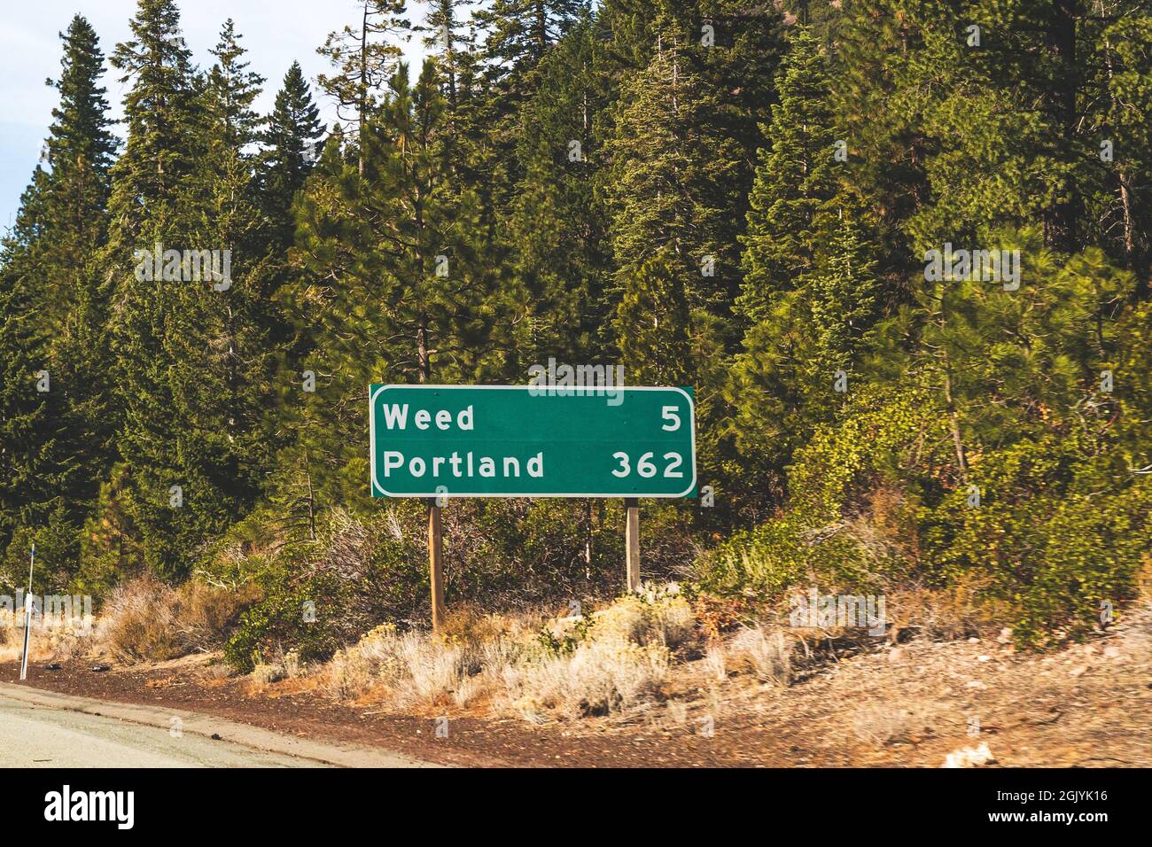 Interstate road sign showing distance to Weed California against trees ...