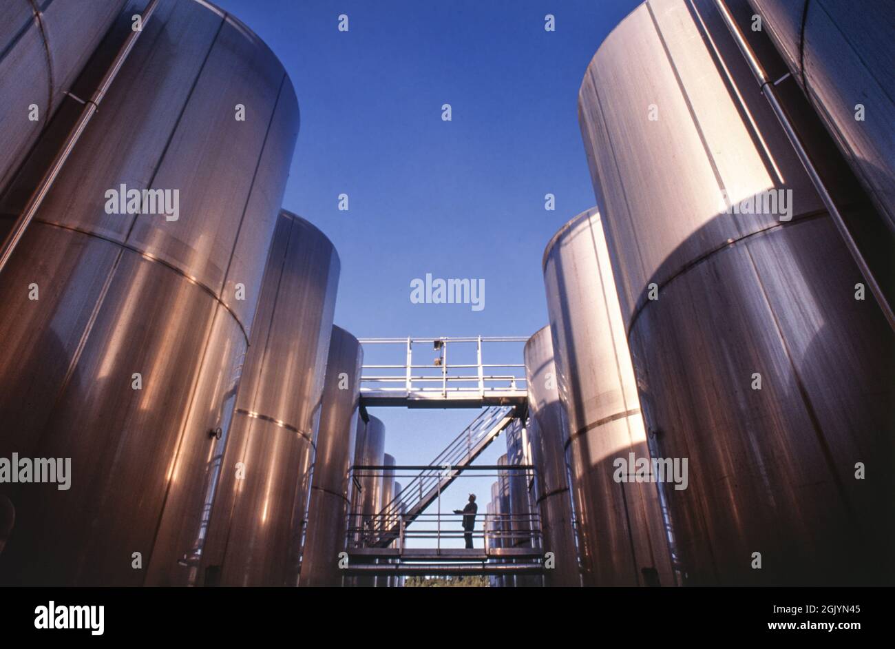 MATURATION TANKS GRAPE HARVEST LARGE SCALE Wine production California ...