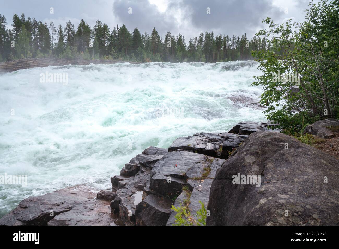 Storforsen, wild, huge waterfall on Pite River in Swedish arctic on a ...