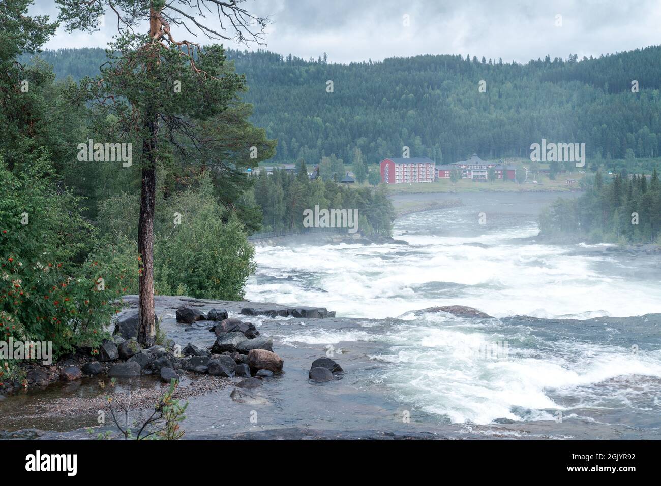 Storforsen, wild, huge waterfall on Pite River in Swedish arctic on a ...