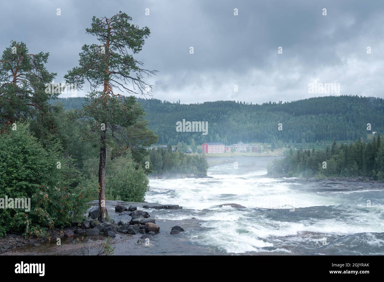 Storforsen, wild, huge waterfall on Pite River in Swedish arctic on a ...
