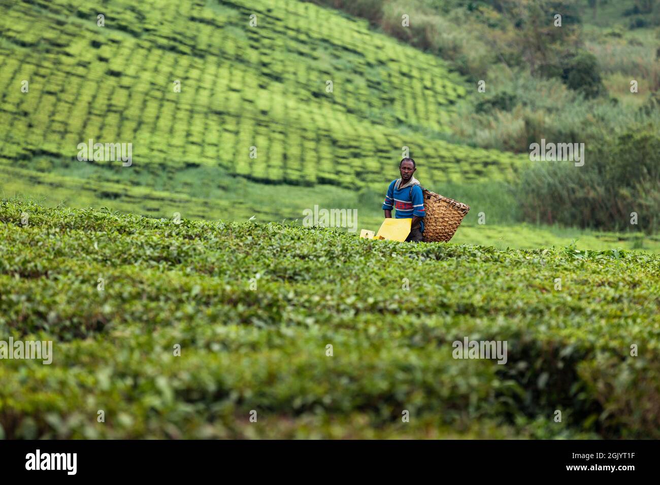 FORT PORTAL, UGANDA - MARCH 15, 2018: An unidentified local worker ...