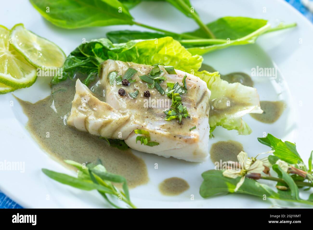 Steamed cod fillet with sorrel sauce and salad leaves Stock Photo - Alamy