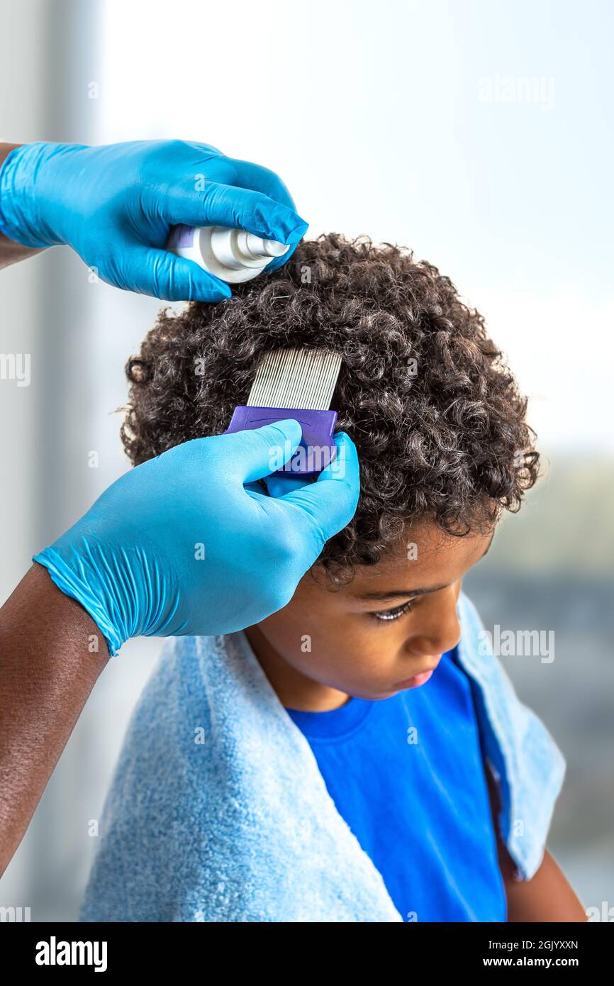 Mother checking childs head for lice with a comb Stock Photo - Alamy