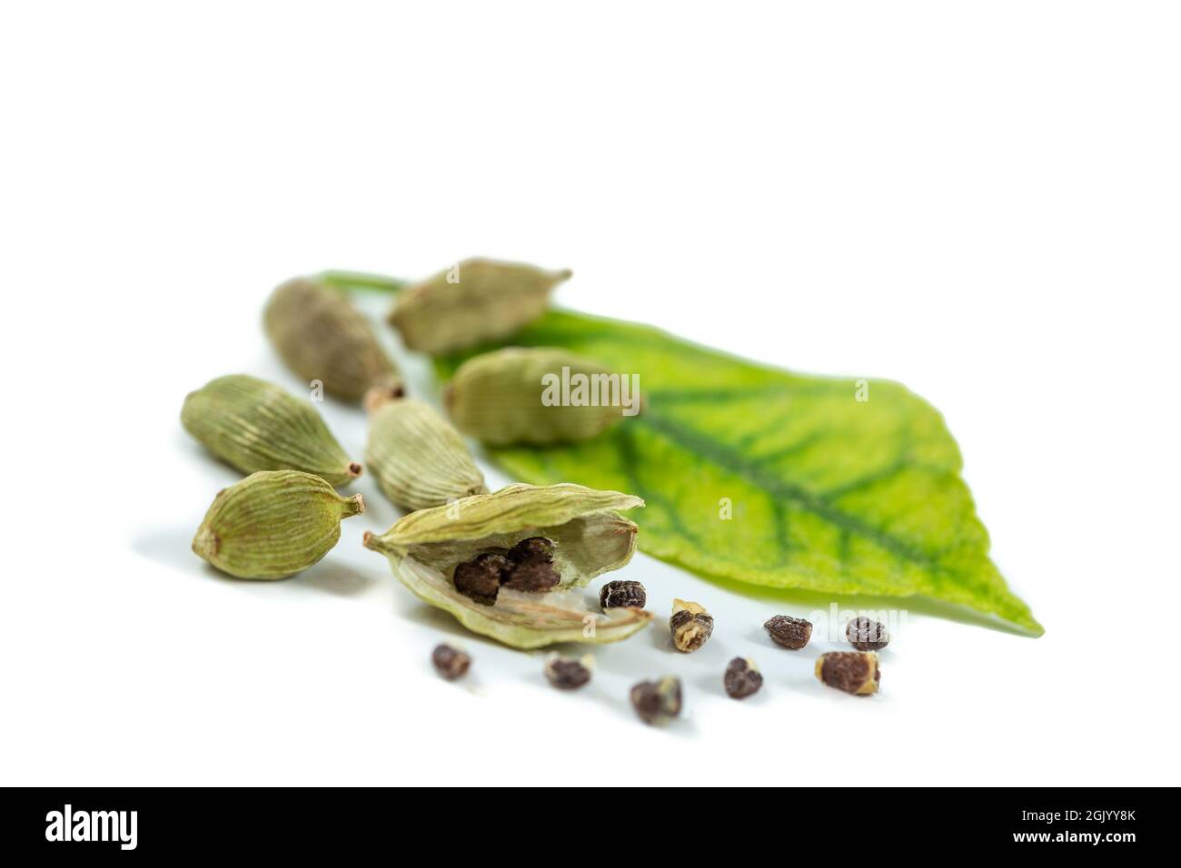Green cardamom on white background Stock Photo - Alamy
