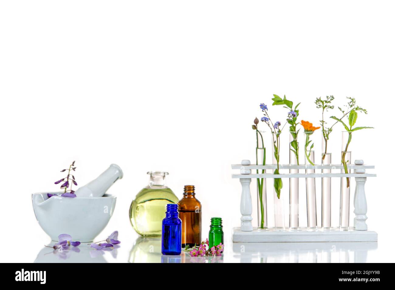 Panoramic image of a laboratory Fresh medicinal plant and Flowers ready ...