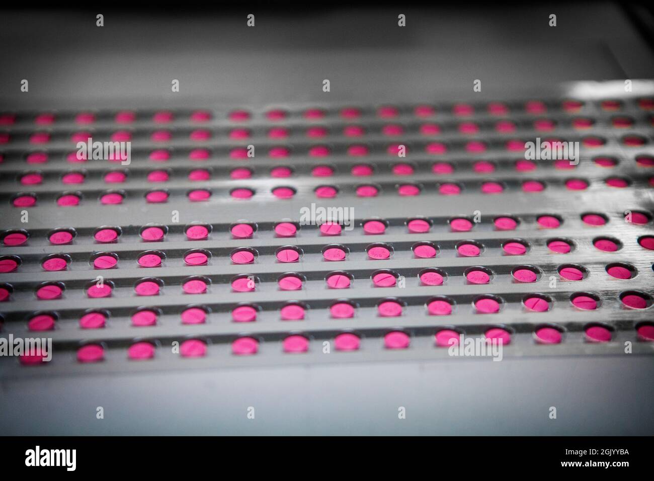 Pharmaceutical production unit specializing in the packaging and ...