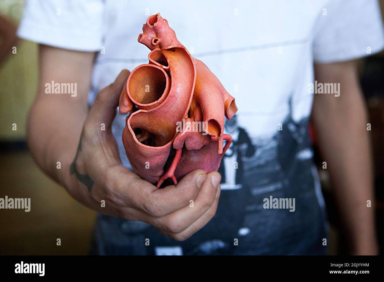 3D reconstruction from patient images, 3D printed heart Stock Photo - Alamy