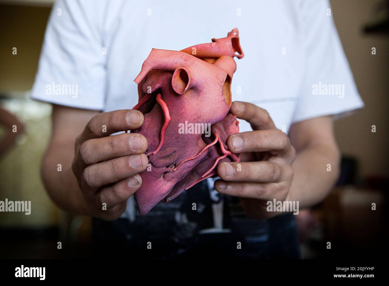 3D reconstruction from patient images, 3D printed heart Stock Photo - Alamy