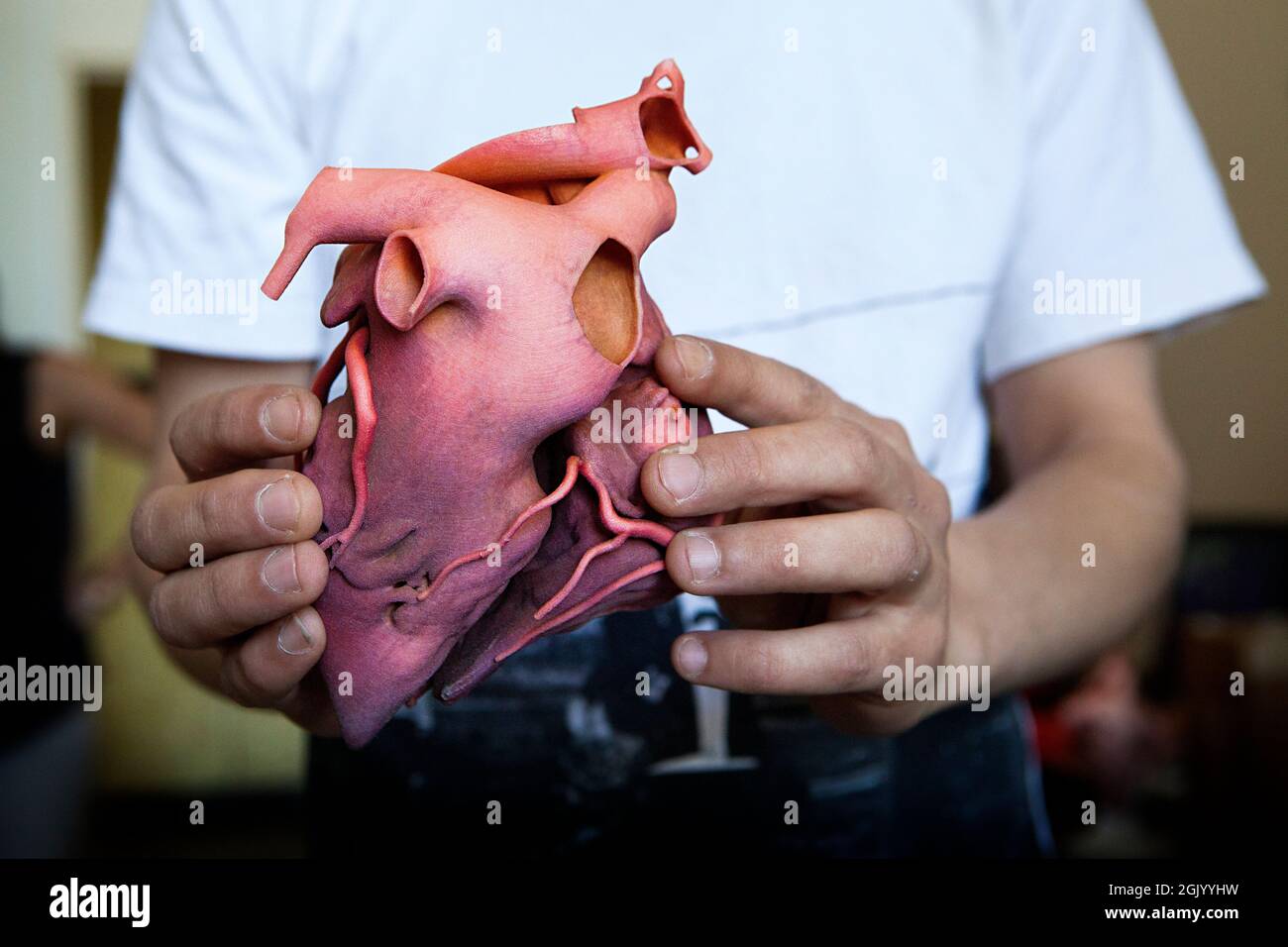 3D reconstruction from patient images, 3D printed heart Stock Photo - Alamy