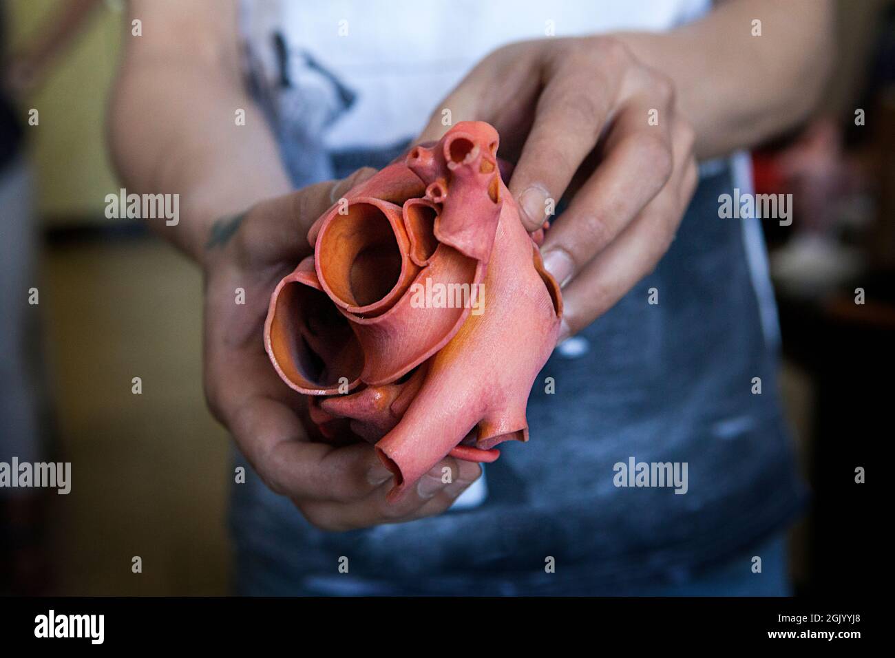 3D reconstruction from patient images, 3D printed heart Stock Photo - Alamy