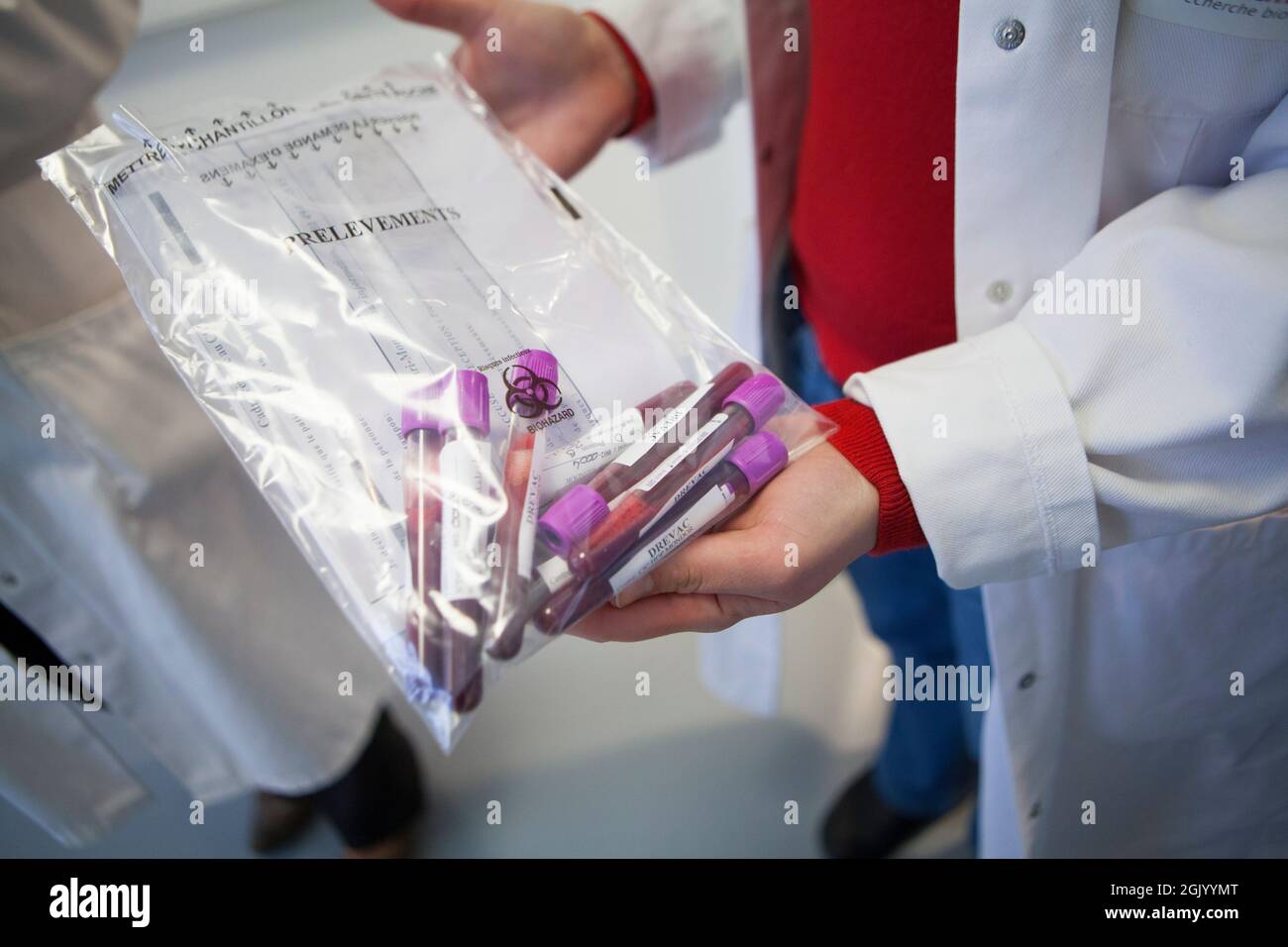 Laboratory analyzes and results to test the effectiveness of an AIDS ...