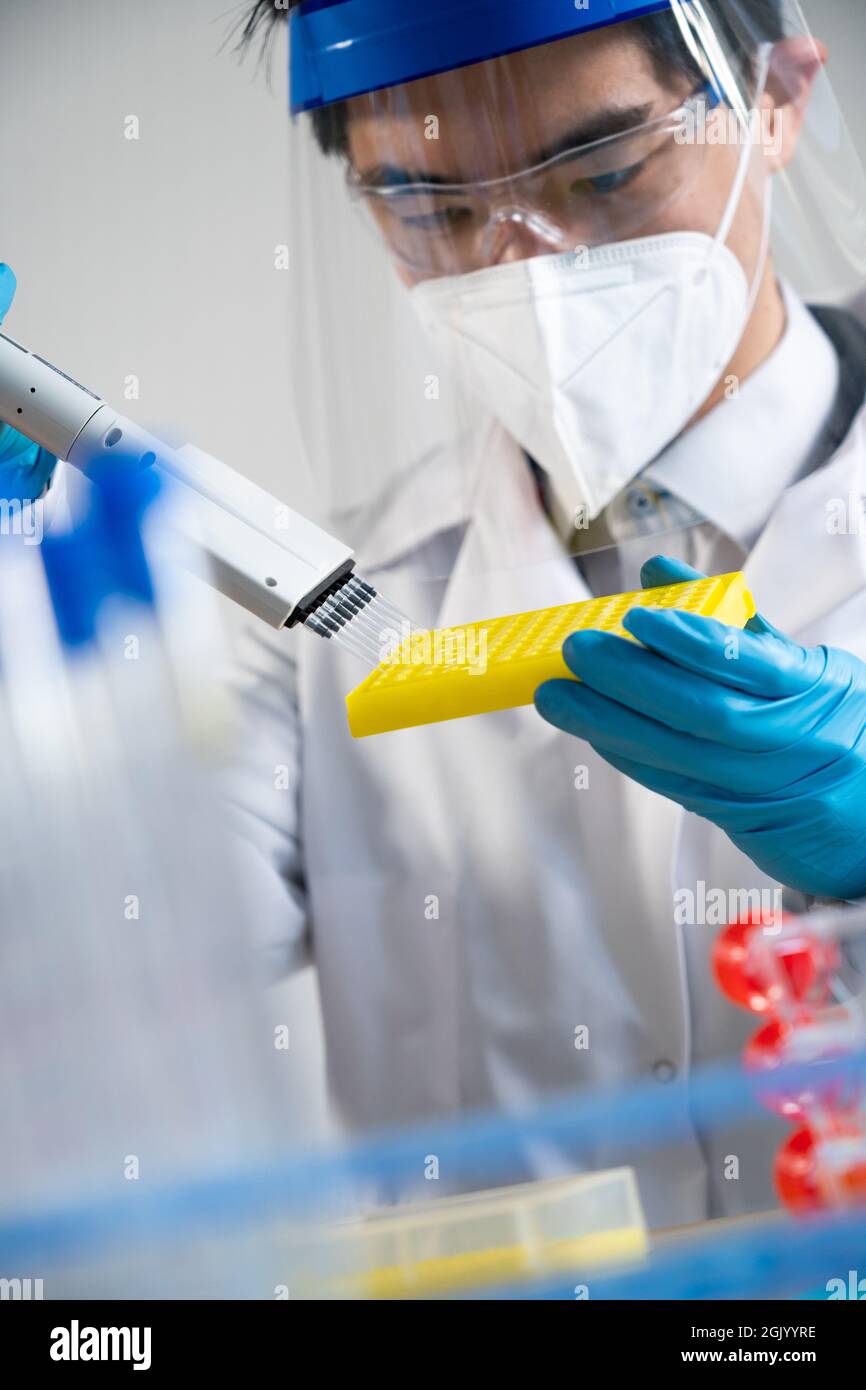 Laboratory assistant conducting experiments for laboratory research ...