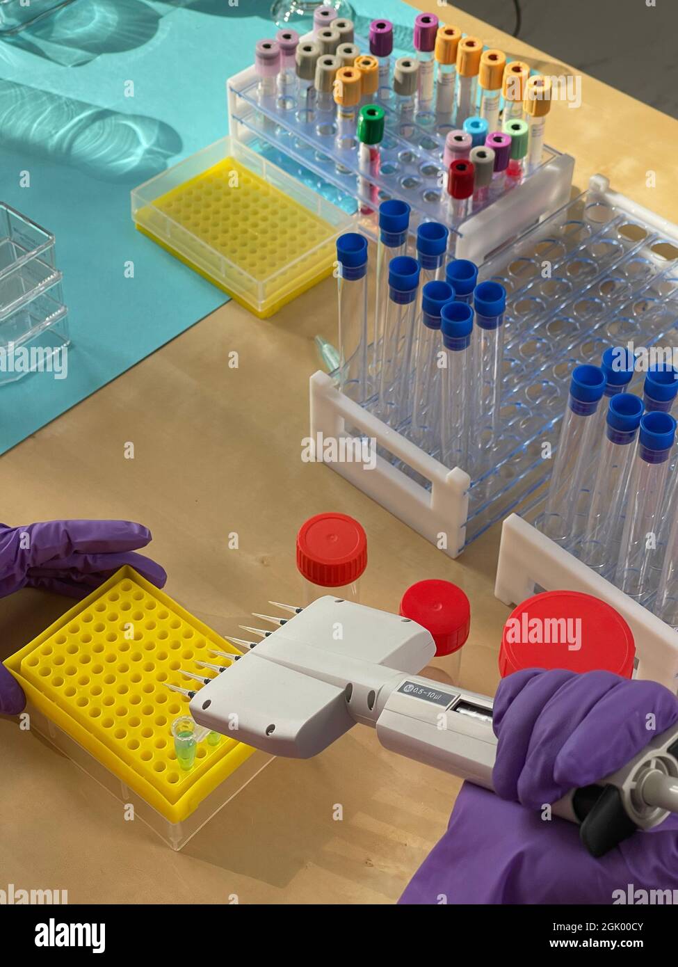 Woman injecting a substance into a tube using a multichannel pipette ...