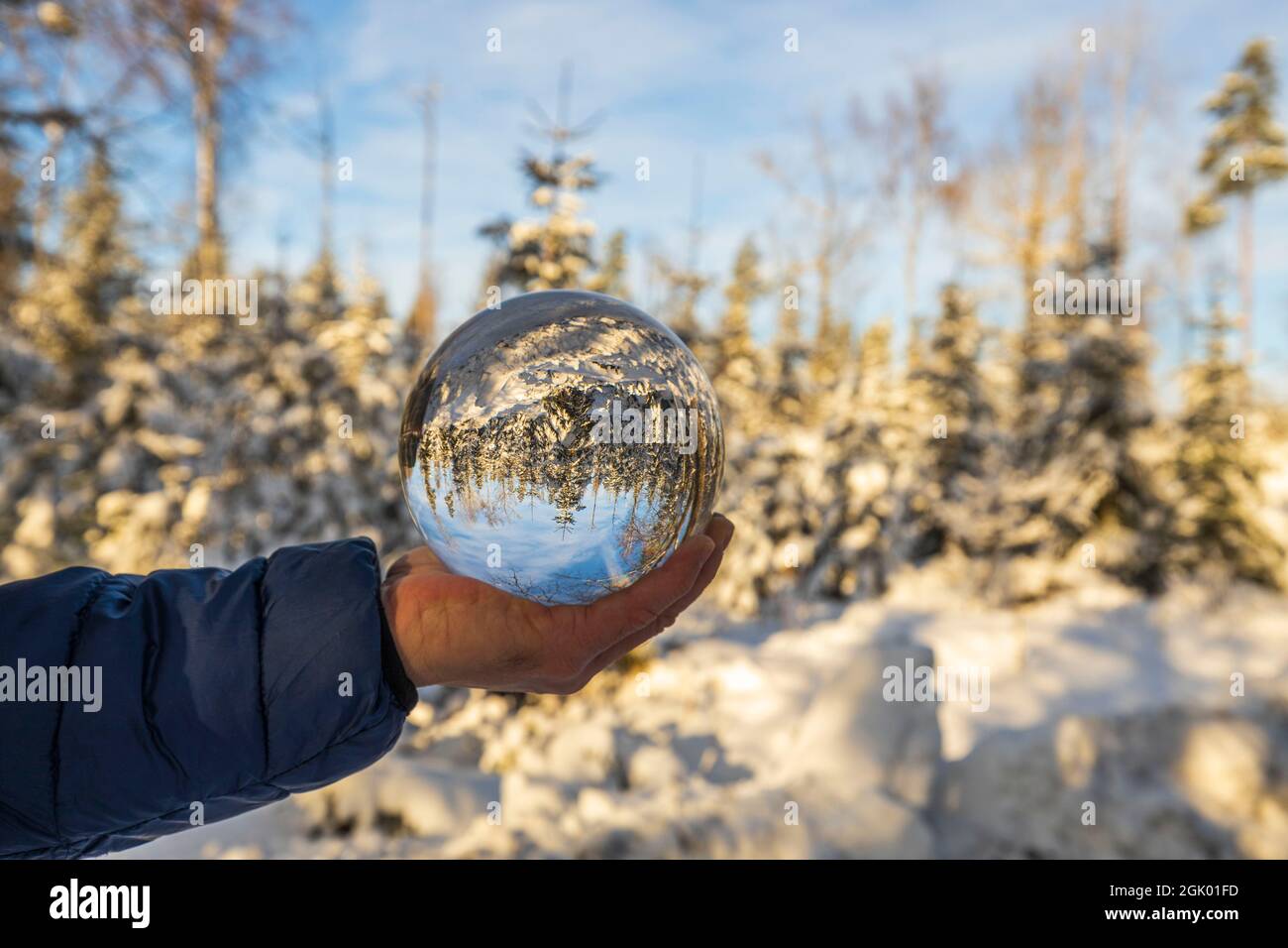 Inverted image hi-res stock photography and images - Alamy