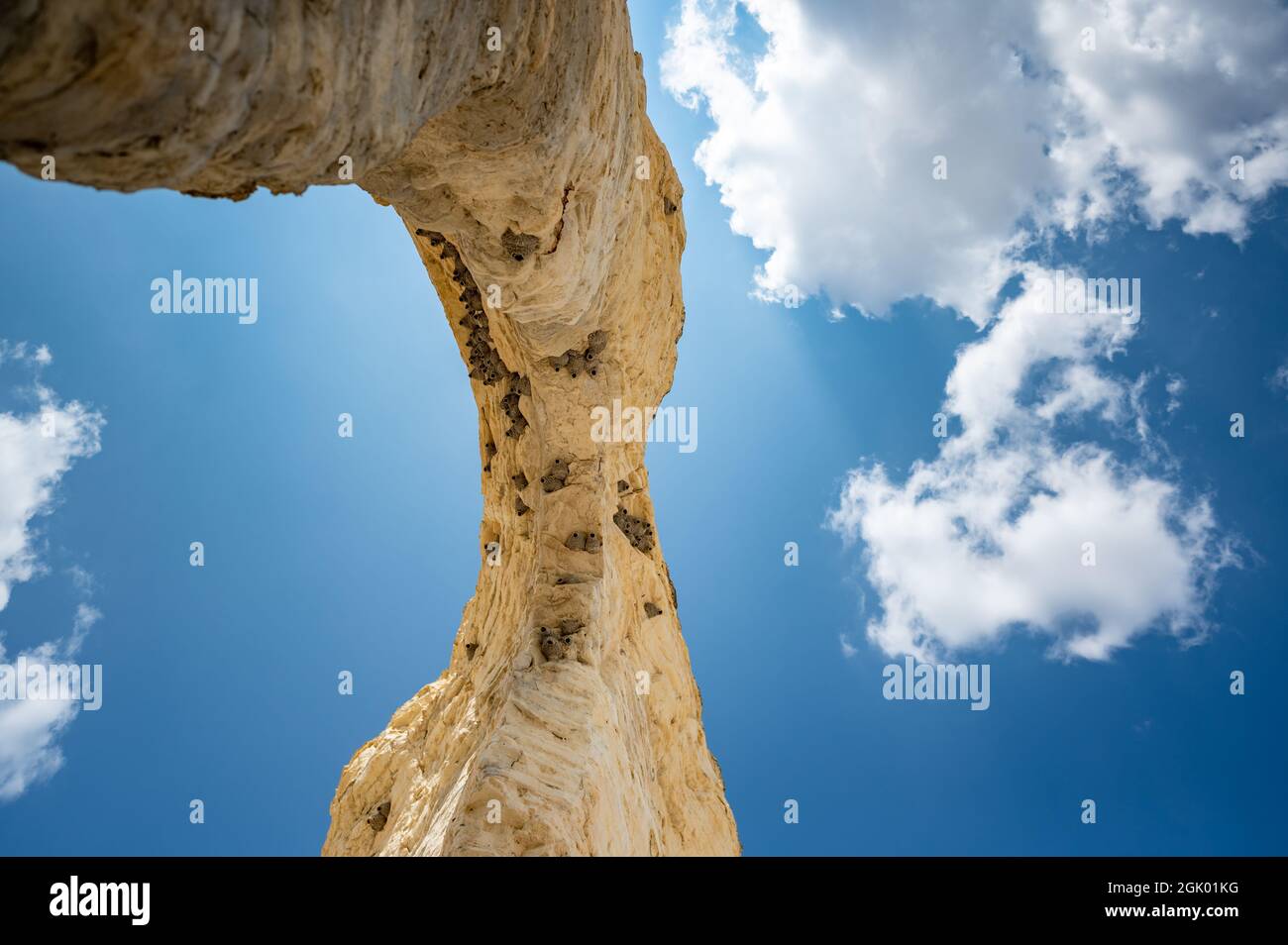 Cliff swallow mud homes built into the cliff face of Monument Rocks in ...