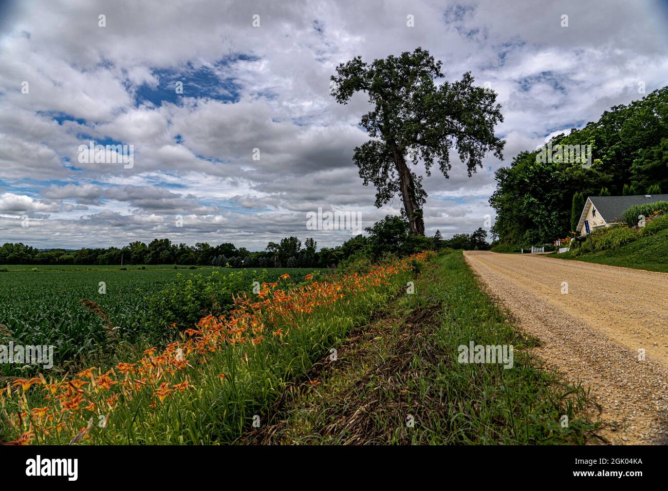 Country Road in Iowa Stock Photo - Alamy