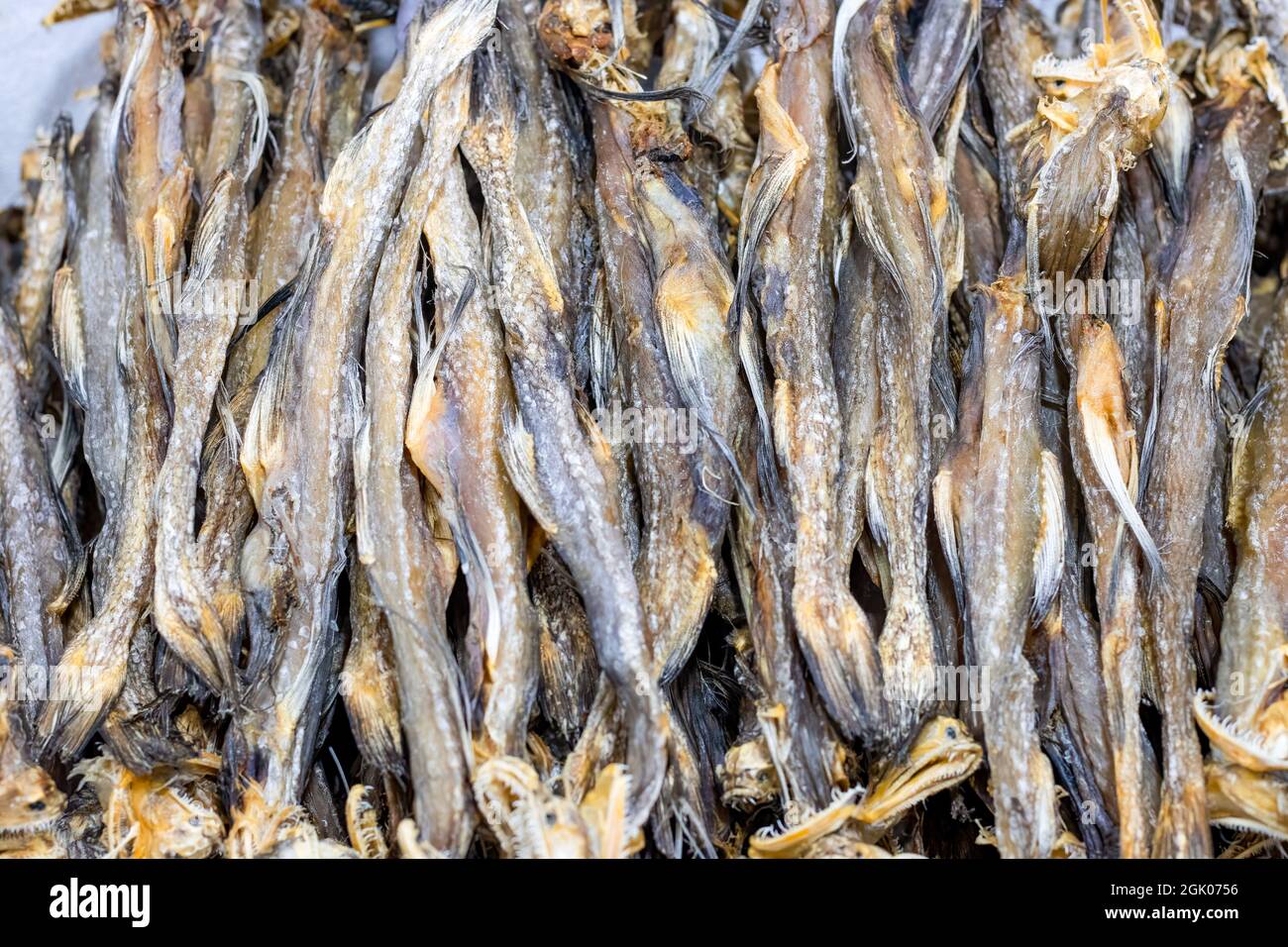 Bombay duck hi-res stock photography and images - Alamy