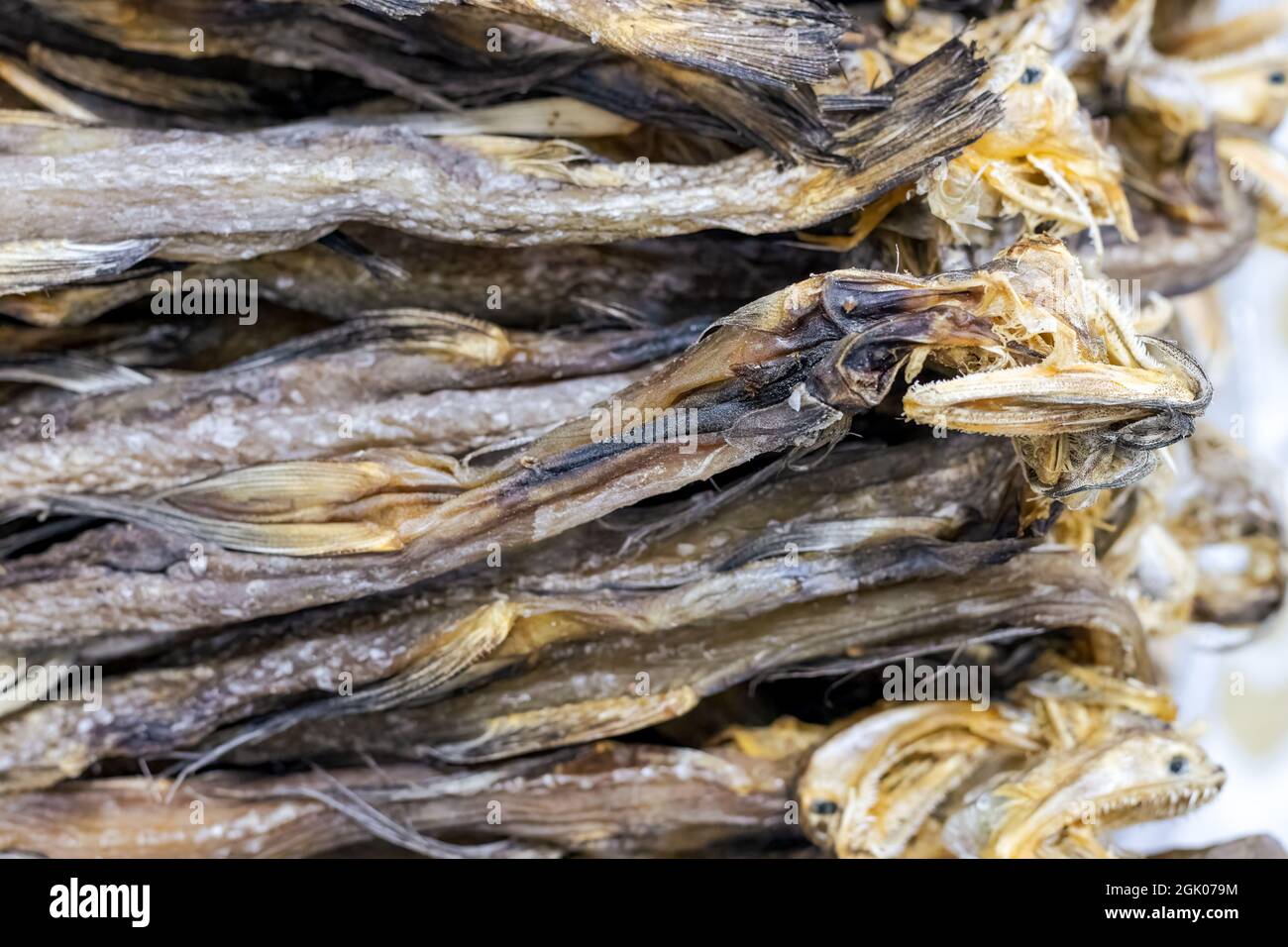 Bombay duck hi-res stock photography and images - Alamy