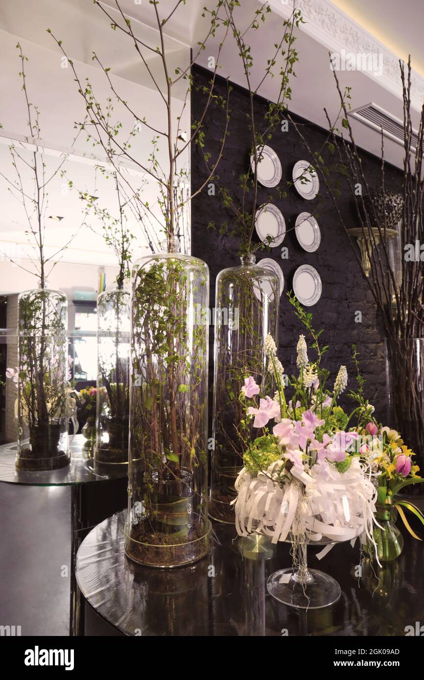 Plants on round glass table in beautiful interior of modern flower shop ...